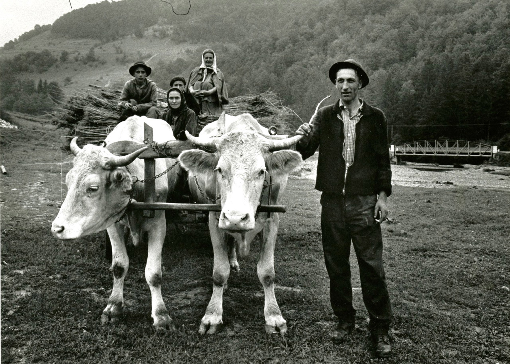 The Romanians. Aventura unui fotograf american în România anilor '70