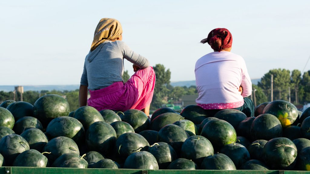 Revoluţia din Dăbuleni