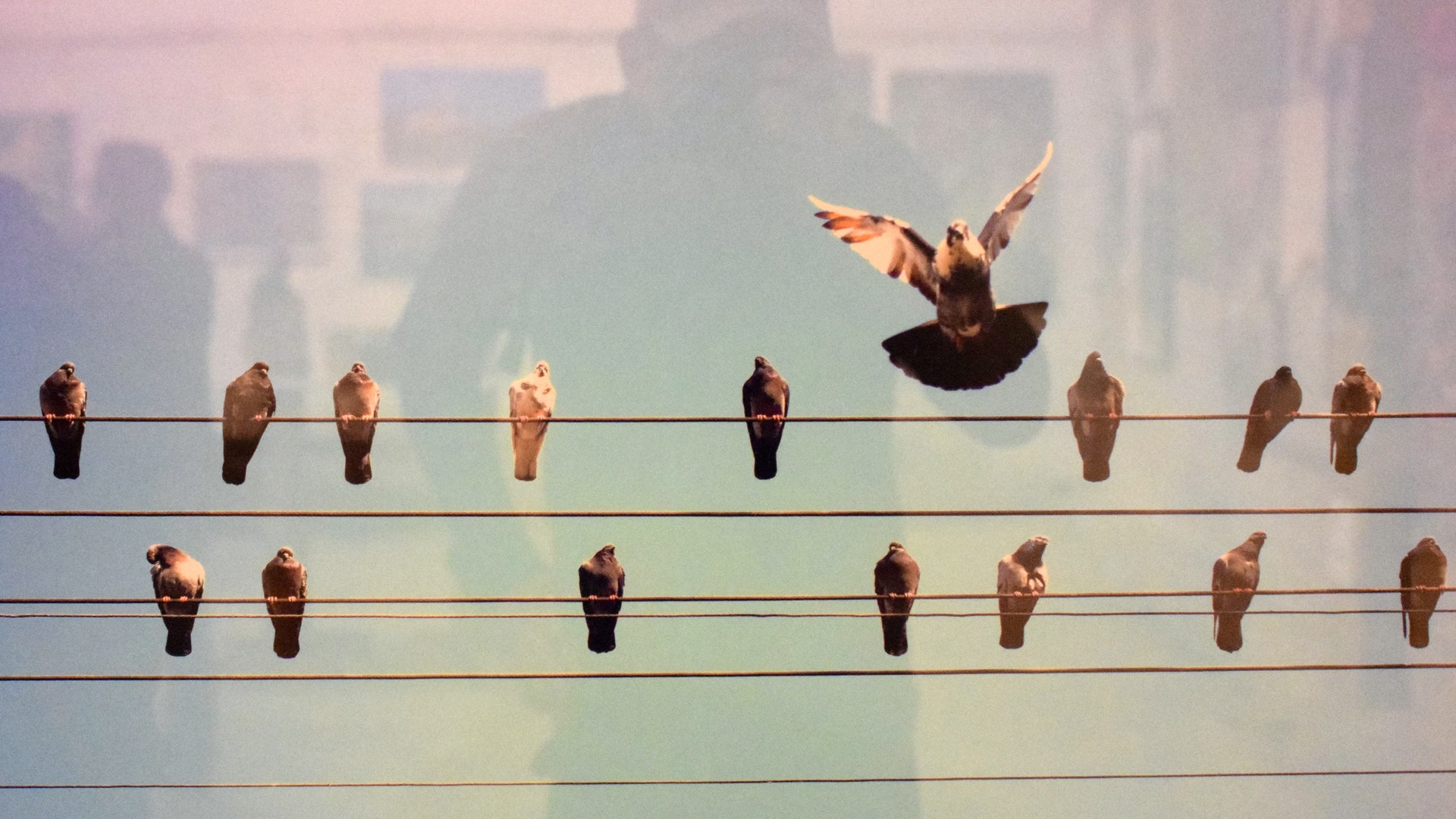 Cei 7 ani buni și cele 7 vaci grase ale lui Etgar Keret