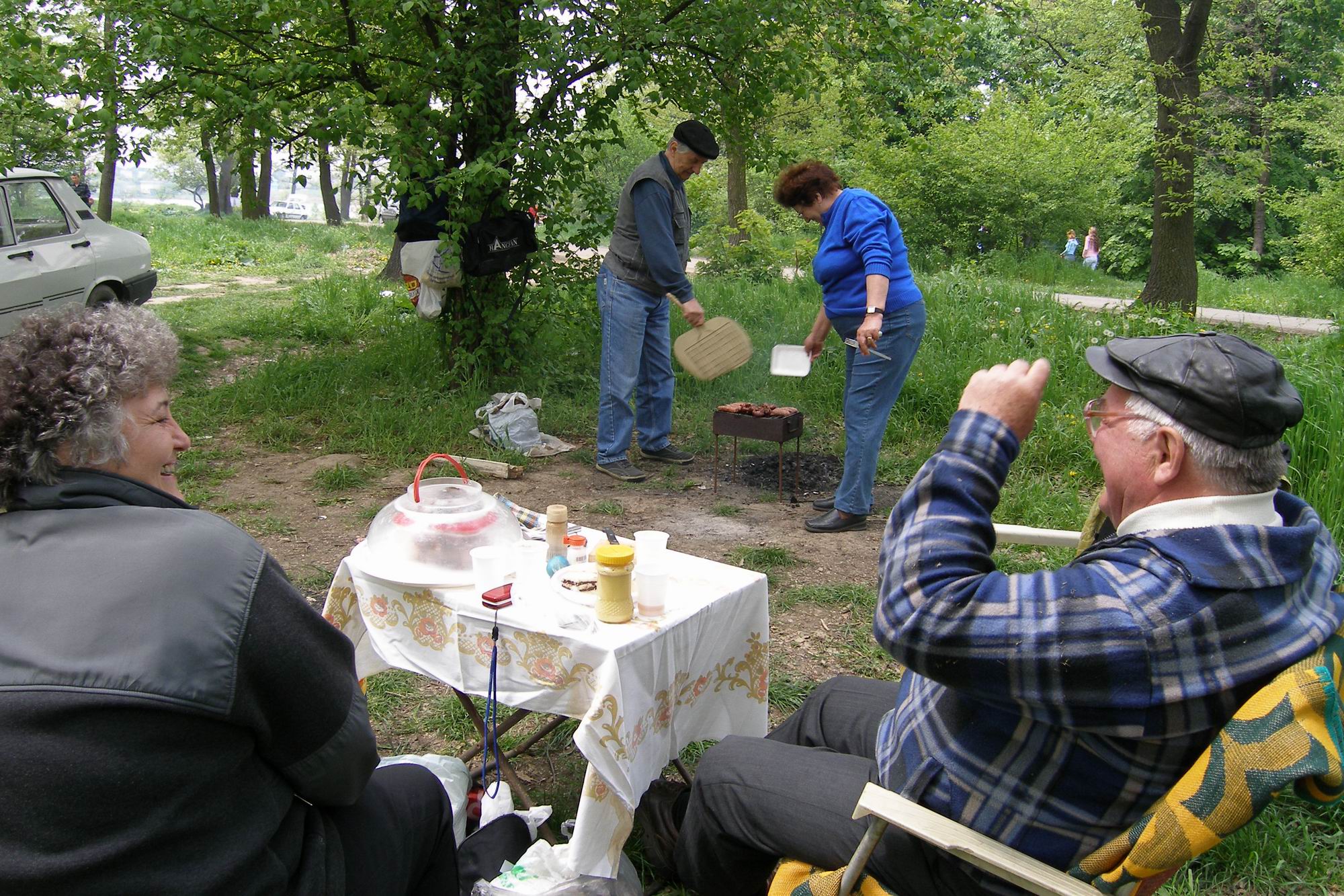 Iarba verde de acasă și Legea (uitată a) Picnicului